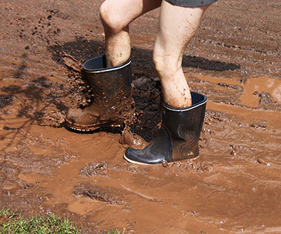 Dreck is back - wamiki.de